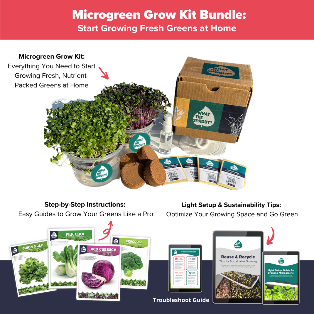 Grow Your Own Microgreens – Easy Microgreen Kits by What the Sprout ...